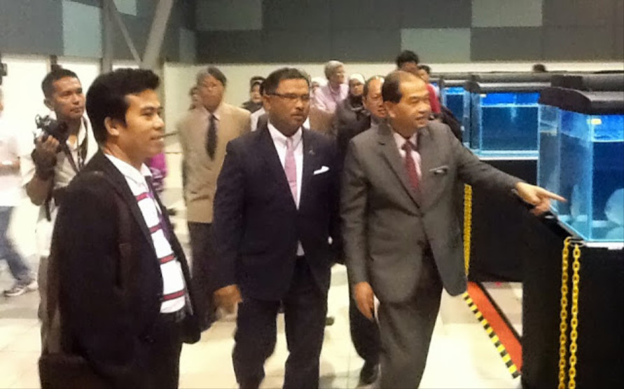 Helmi Gimmick Photo Gallery, Performance Portfolio | Helmi Resources ...